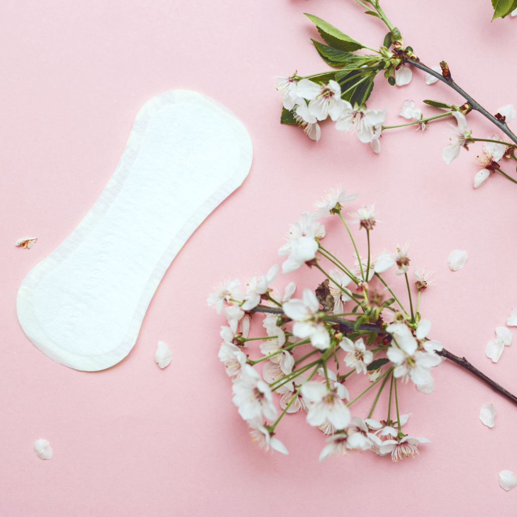 Menstrual cycle phases and the focus of TCM treatment